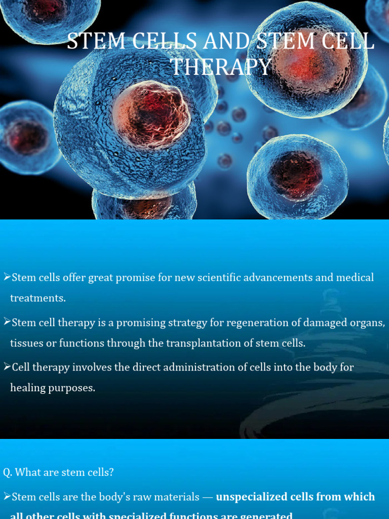 Stem Cells and Stem Cell Therapy | PDF | Stem Cell | Embryonic Stem Cell