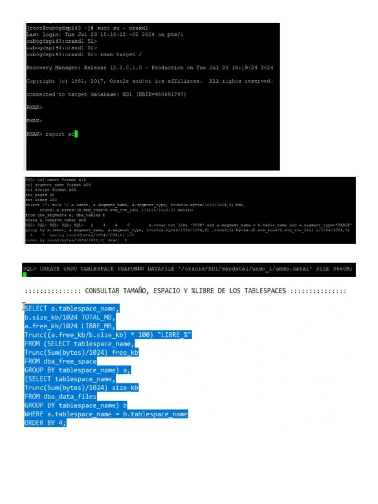 Validar tablas ORACLE | PDF