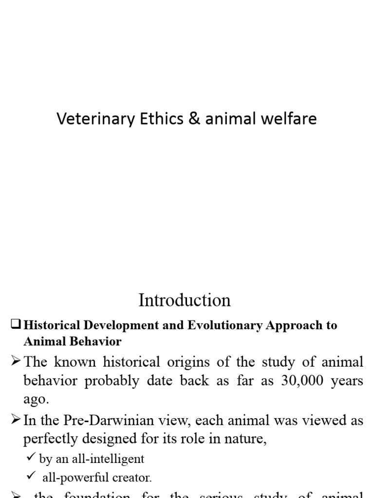 E Vet Ethics and Welfare | PDF | Veterinary Medicine | Cattle