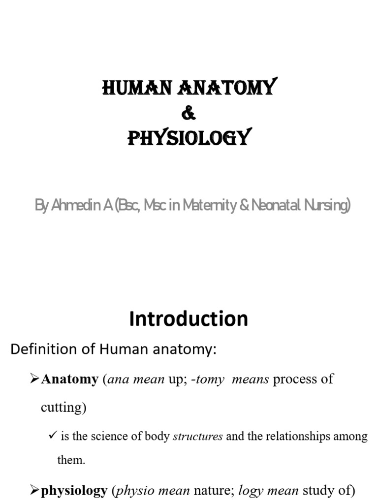 1.0 Human Anatomy & Physiology | PDF | Vertebral Column | Muscle