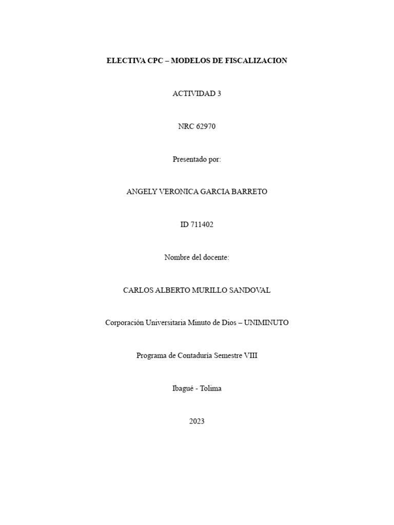Electiva CP Act.3 | PDF | Auditoría | Contabilidad