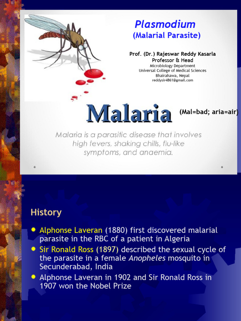 Plasmodium (malarial parasite) | PDF | Plasmodium Falciparum | Plasmodium