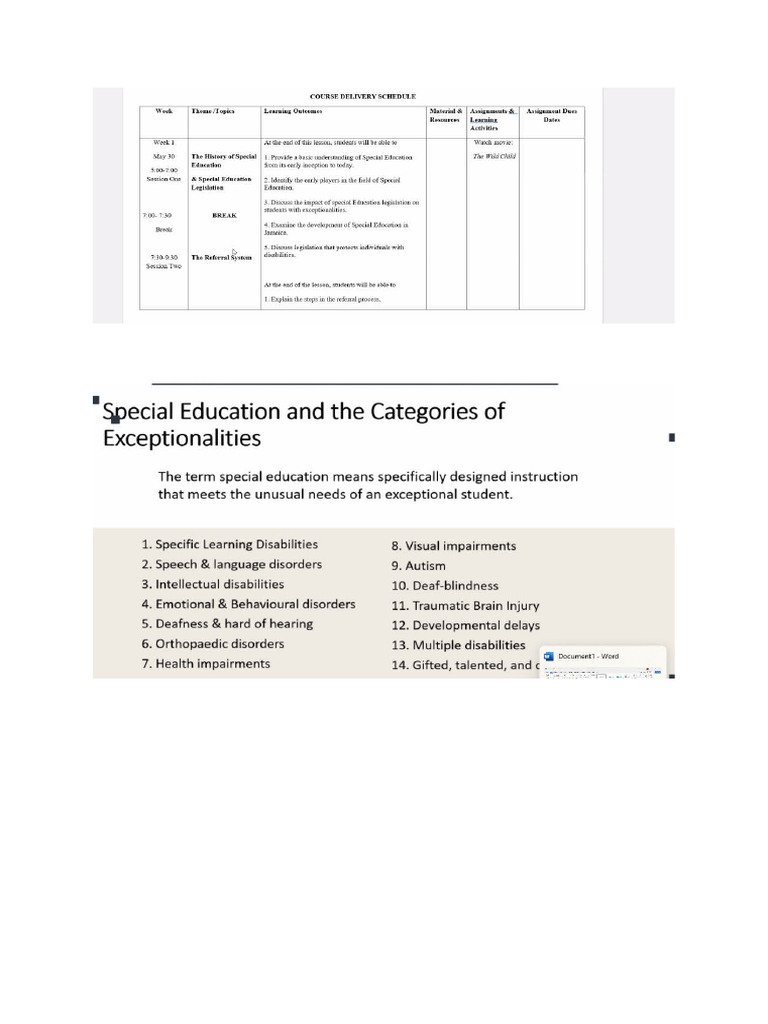 Special Ed Notes | PDF