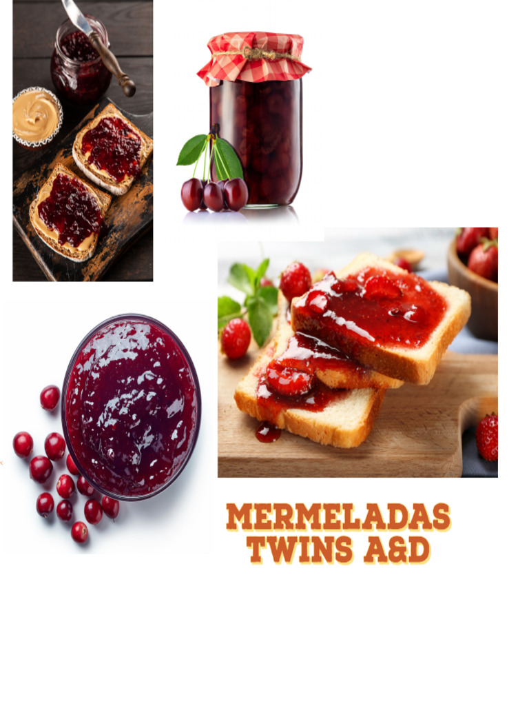 Mermeladas Proyecto | PDF