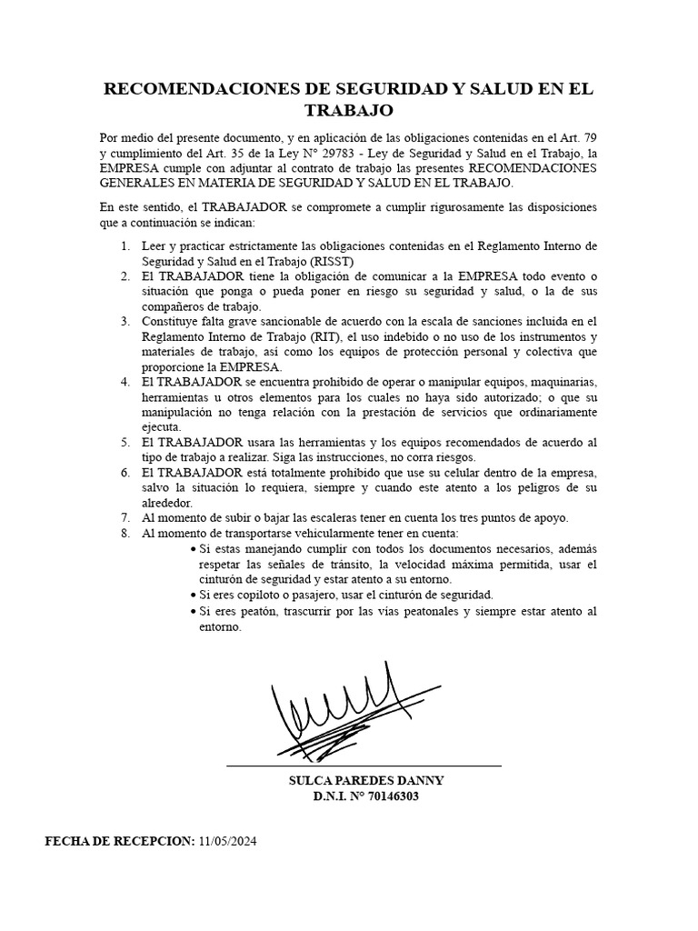 Recomendaciones de Seguridad y Salud en El Trabajo | PDF