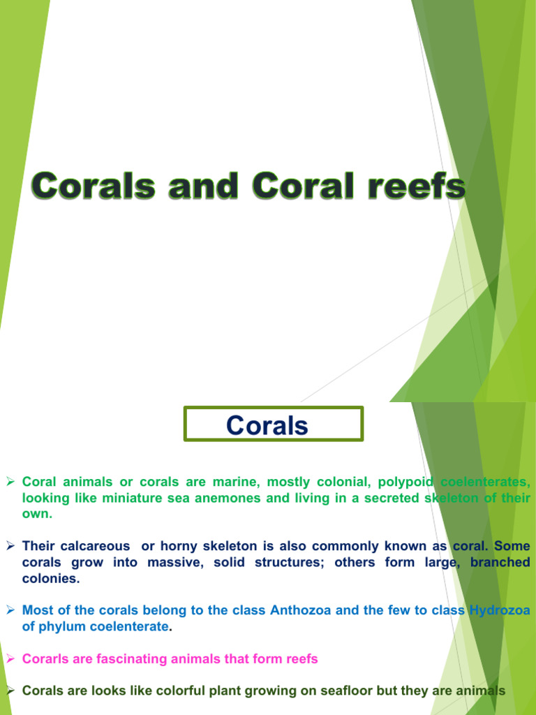 Corals and Classifications | PDF | Coral | Coral Reef