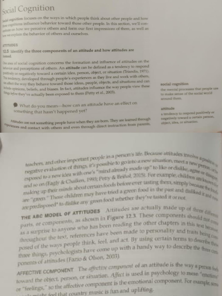 Attitude And Stereotype Pdf 7 Pdf Schema Psychology