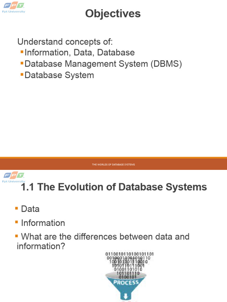 Chapter 1 | PDF | Databases | Relational Database