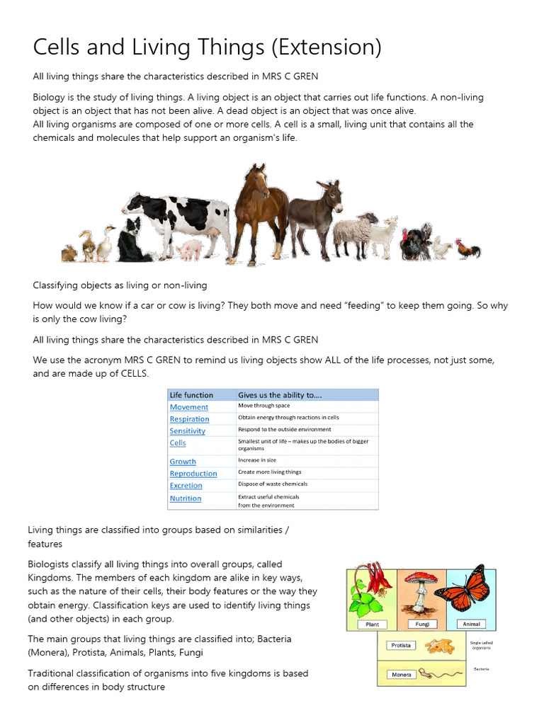 notes_cells_and_living_things_chs | PDF | Cell (Biology) | Foods