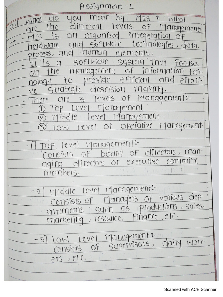 MIS Assignment no 1 | PDF