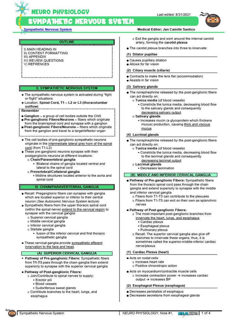 Sympathetic Nervous System Atf | PDF | Autonomic Nervous System | Human ...