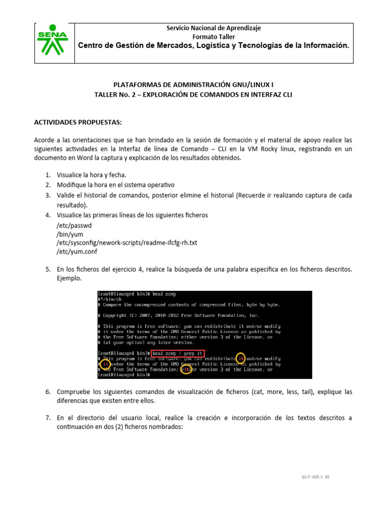 Taller CLI en GNU/Linux: Comandos Básicos | PDF | Archivo de computadora | Informática