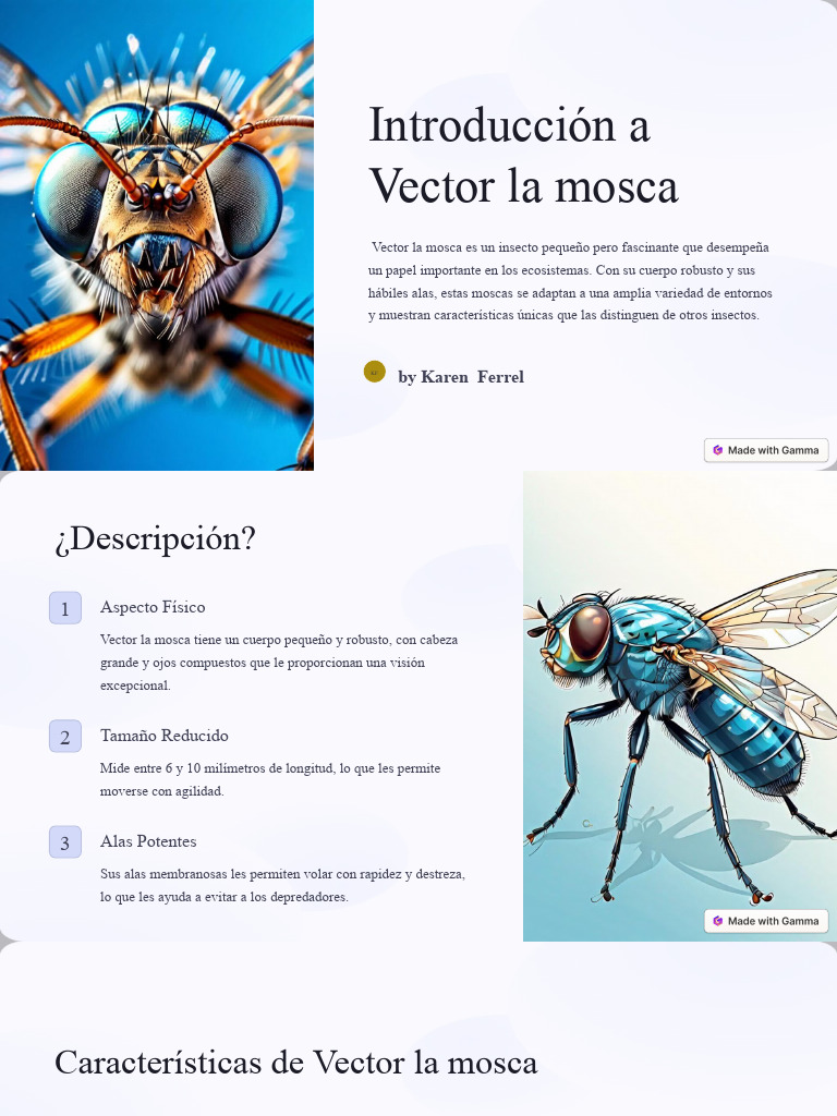 Introduccion A Vector La Mosca | PDF | Mosca | Crisálida