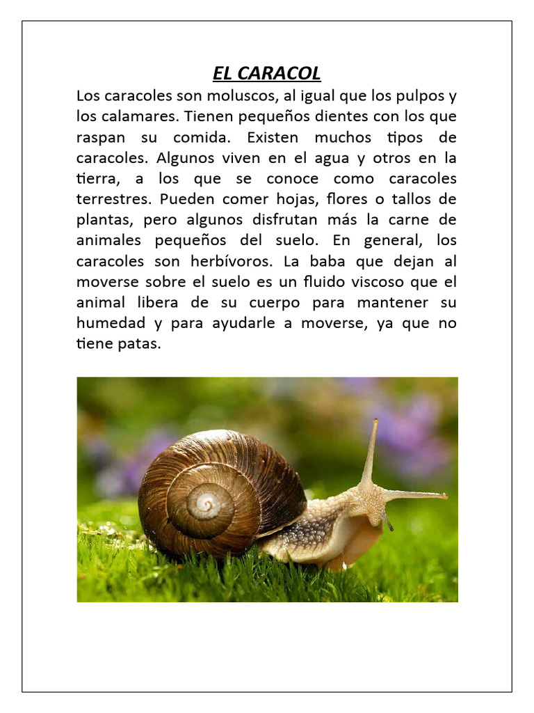 El Caracol | PDF