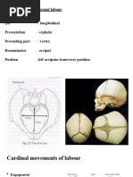 Occiput Posterior Position Mechanism | PDF