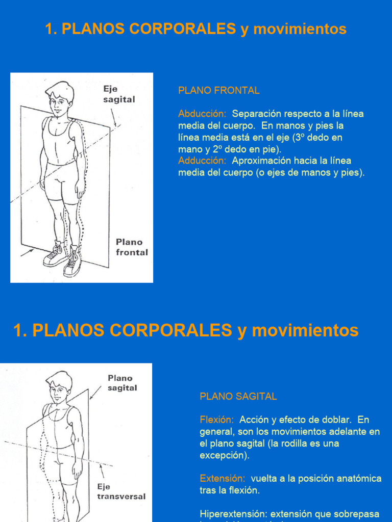 Clase-Planos, Ejes y Mov | PDF | Términos anatómicos de ubicación | Mano