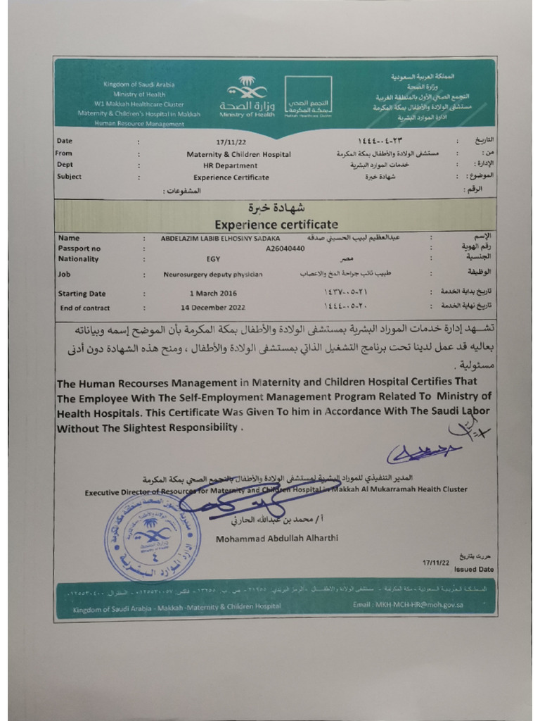 Experience MCH | PDF