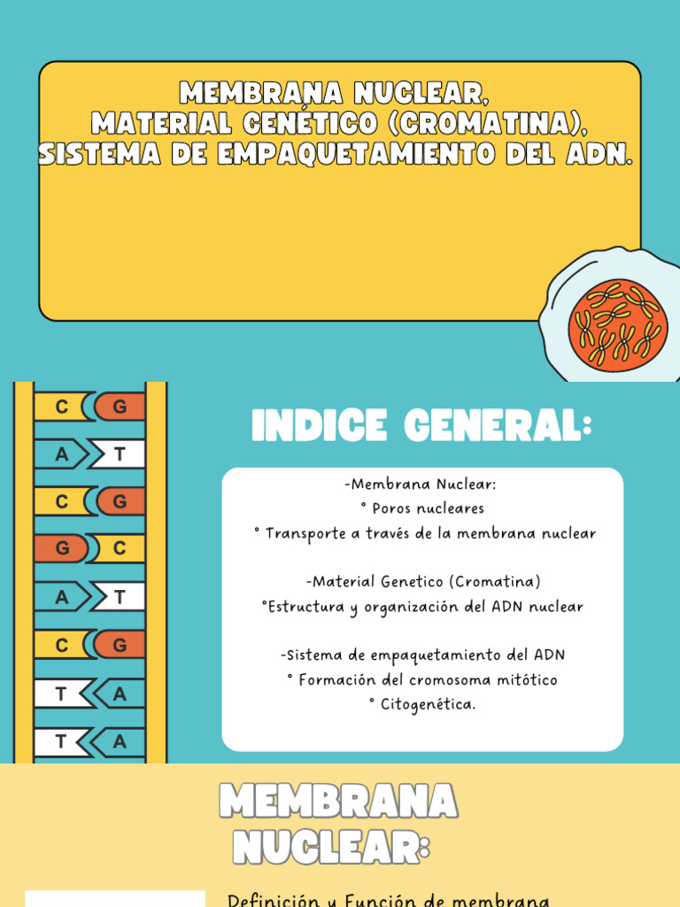Membrana Nuclear, Material Genético, Sistema de Empaquetamiento Del ADN ...
