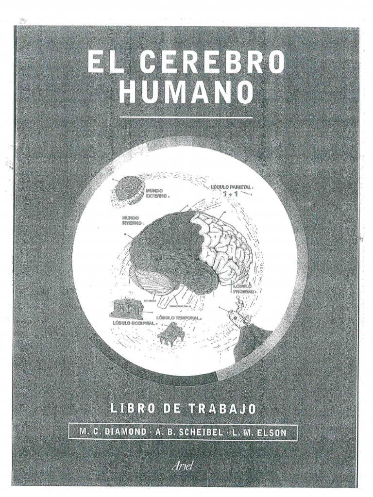 Libro El Cerebro Humano 2 | PDF