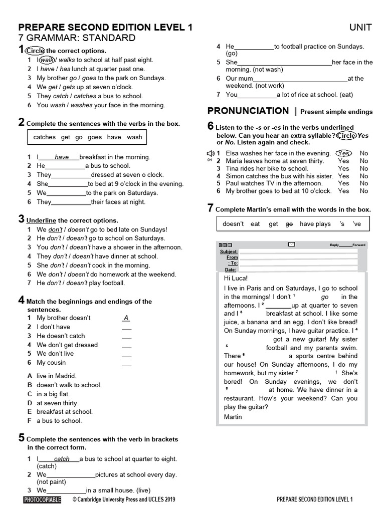 Level 1 Grammar Practice: Present Simple | PDF | Syntax | Grammar