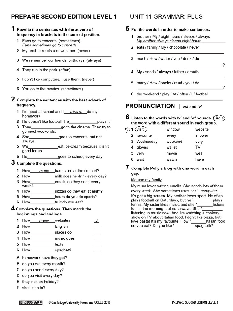 Frequency Adverbs Practice Answers | PDF