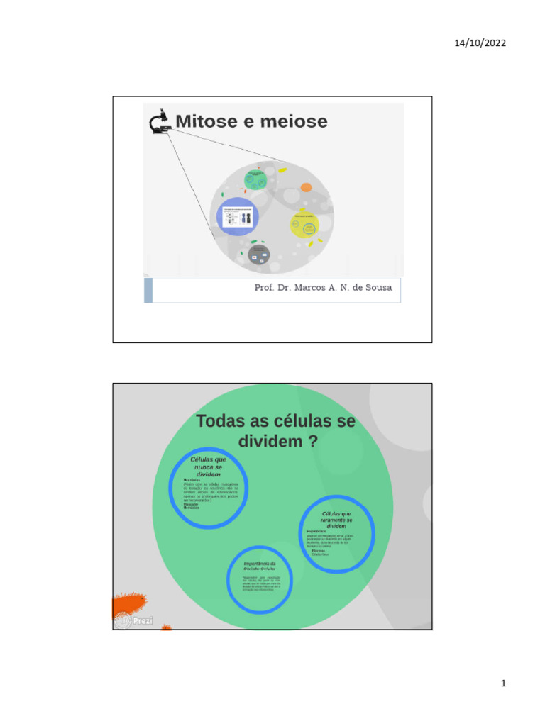 02 Ciclo Celular - Mitose e Meiose | PDF | Meiose | Mitose