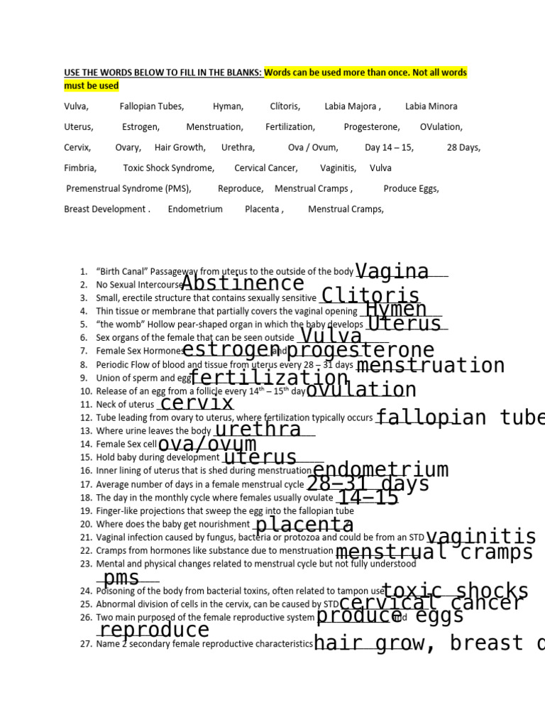 Female Study Guide | PDF | Menstrual Cycle | Uterus