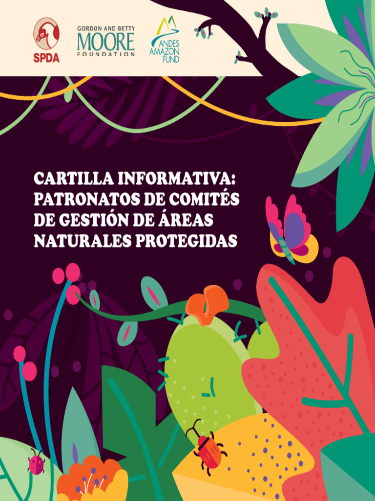 Cartilla-Informativa Final Patronato | PDF | Responsabilidad social ...