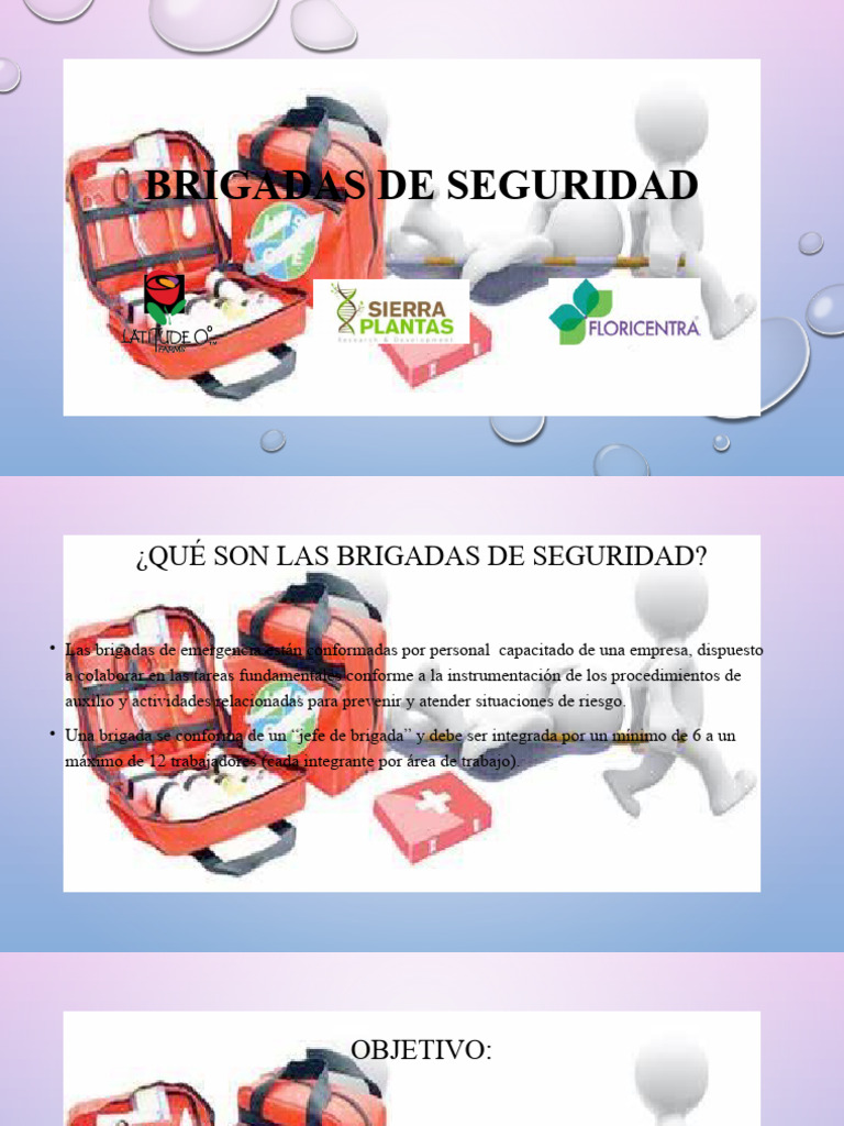 BRIGADAs DE SEGURIDAD | PDF | Primeros auxilios | Incendios
