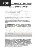 Generalidades de Esporozoarios | PDF | Anatomía | Biología