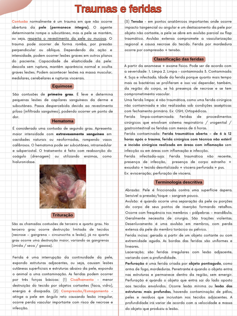Hiperstasia e Contusões: Tipos e Tratamento | PDF | Necrose | Cura