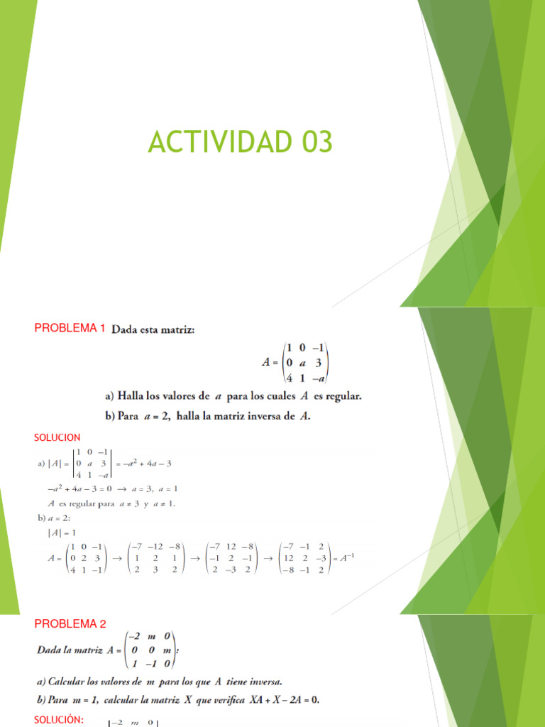 Actividad 03 de Matrices Inversas y Adjunta | PDF
