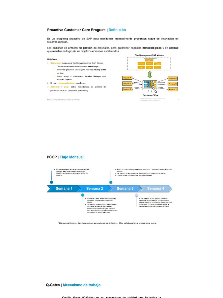 SAP - Proactive Customer Care Program | PDF