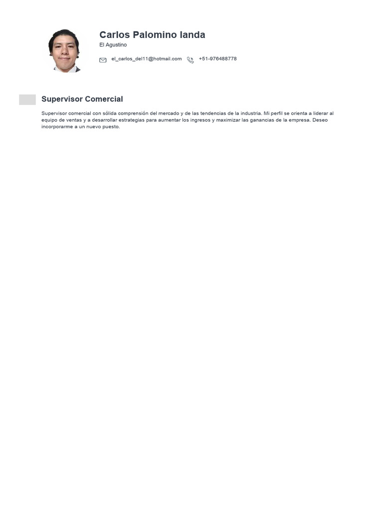 Carlos Palomino Landa 1 | PDF | Mercado (economía) | Presupuesto