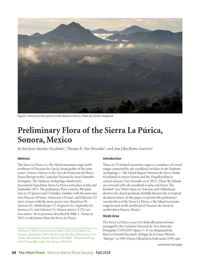 anps2012-4-Prica (1) | PDF | Sonora | Plants