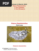 Types of Cercariae with Examples | PDF | Zoology
