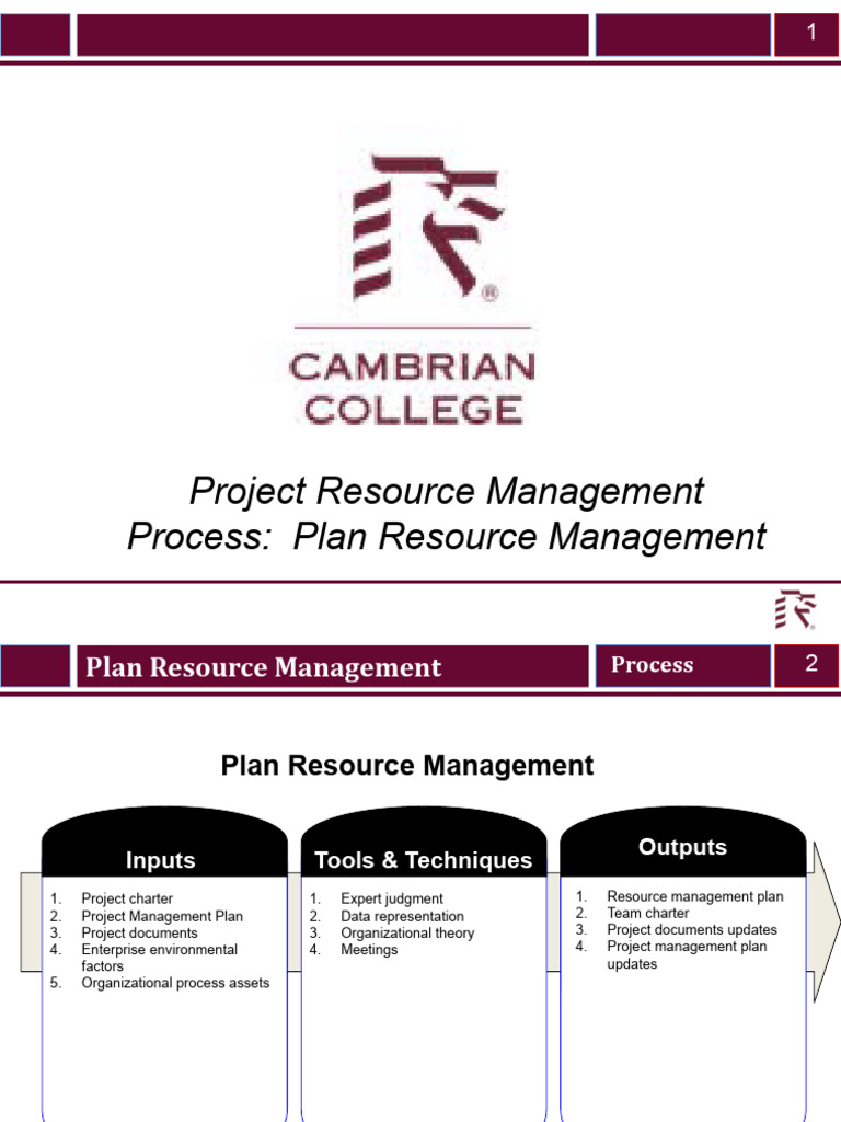 Plan Resource Management Process Week 1 | PDF | Project Management ...