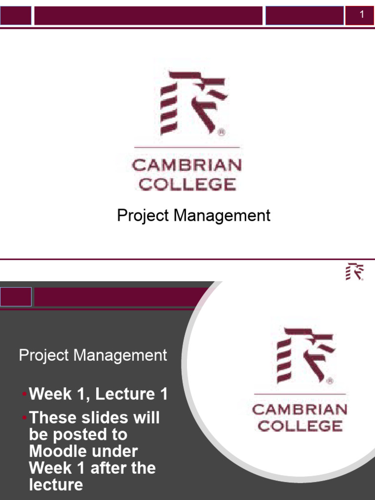 What Is A Project Week 1 Lecture 1 | PDF | Project Management | Business