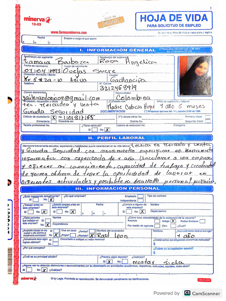 hola de vida rosa | PDF