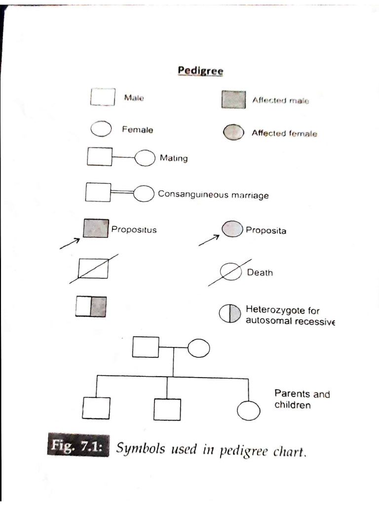Pedigree Charts | PDF