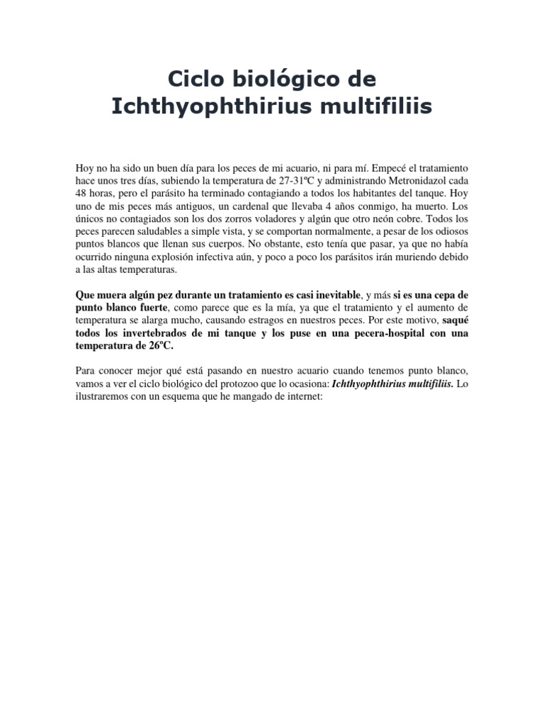 Ciclo Biológico de Ichthyophthirius Multifiliis - Pto Blanco | PDF ...
