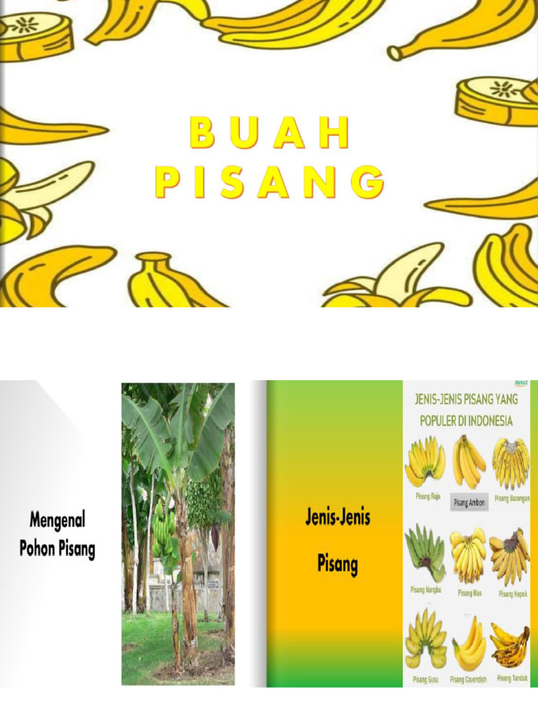 Buah Pisang | PDF