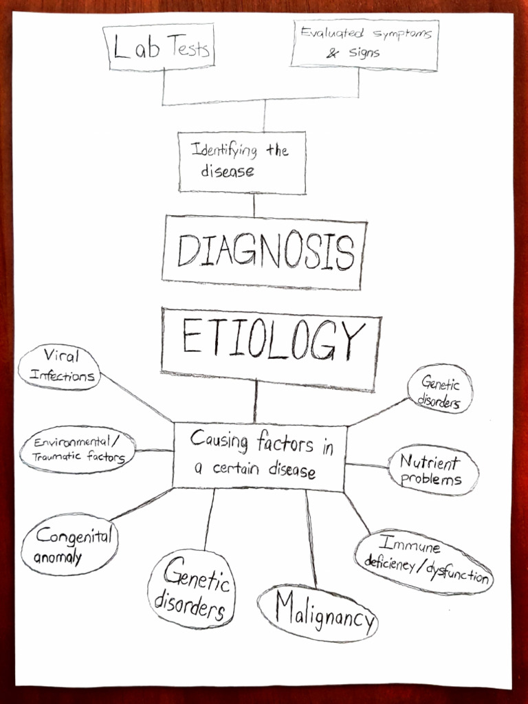 Patho Portfolio | PDF | Medical Diagnosis | Medical Specialties