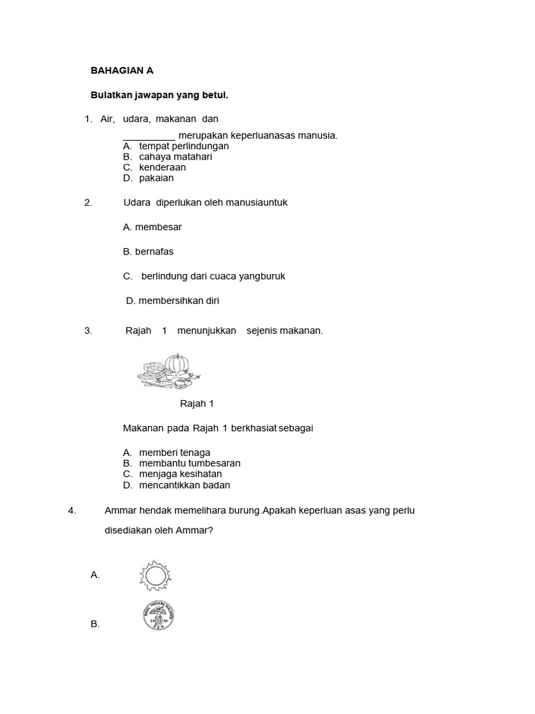 Kuiz Stem Tahun 2 | PDF