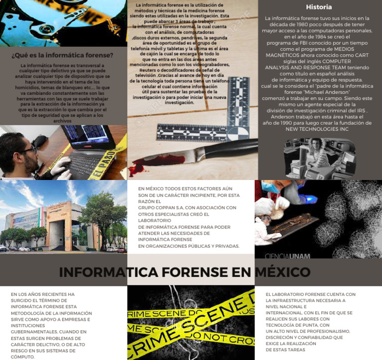 Infografía Informática Forense | PDF | Informática forense | Informática
