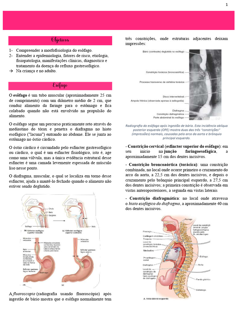 APG 01 - Doença Do Refluxo Gastroesofágico | PDF | Doença do refluxo ...