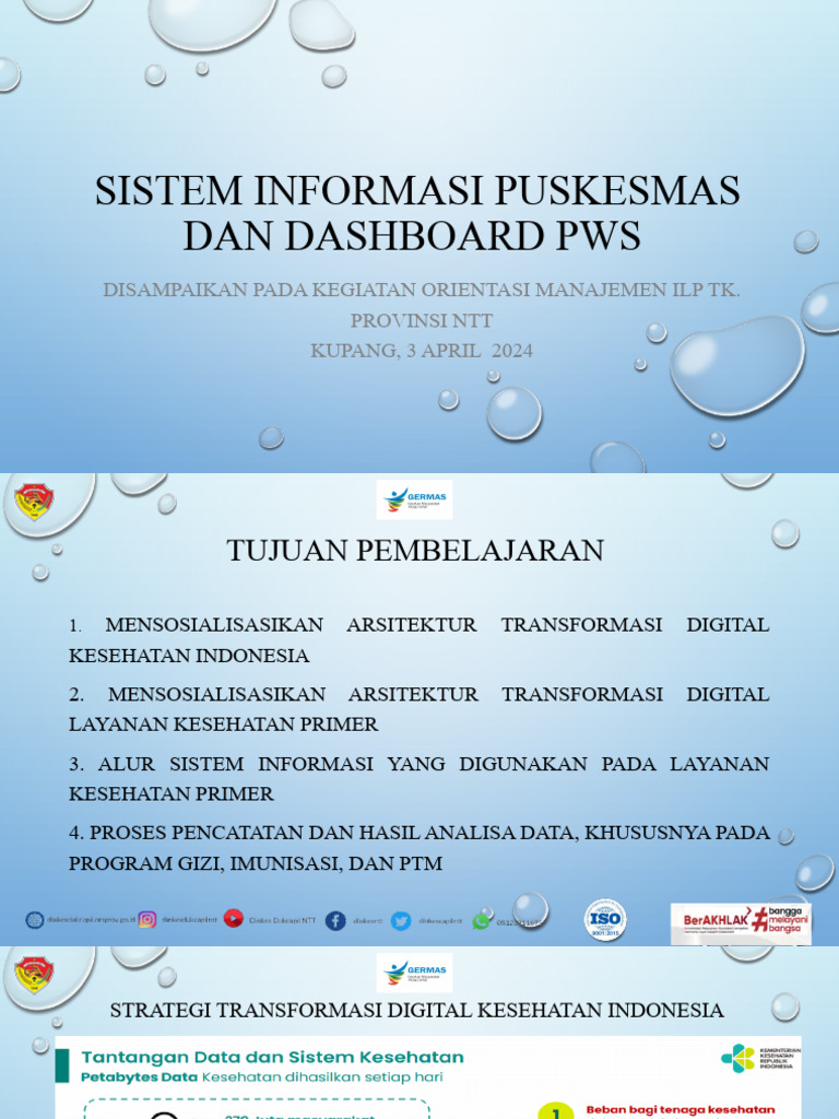 Sistem Informasi Puskesmas Dan Dashboard PWS Ilp | PDF