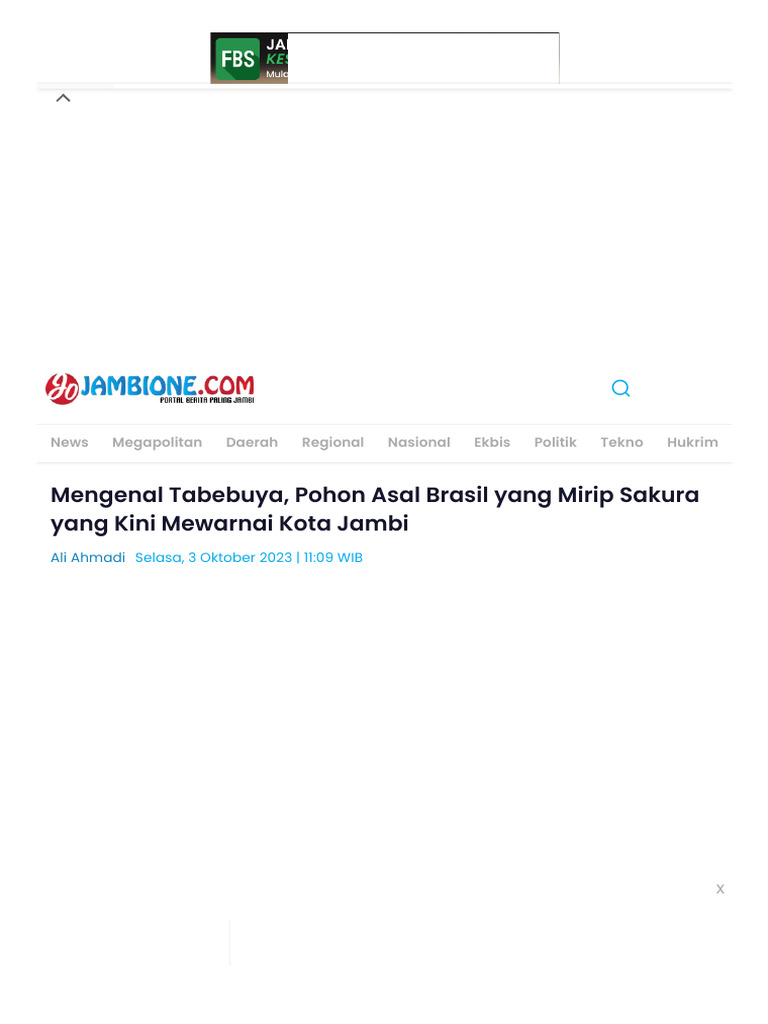 Mengenal Tabebuya, Pohon Asal Brasil Yang Mirip Sakura Yang Kini ...
