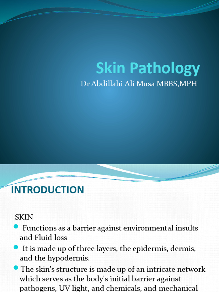 Skin Pathology 1 | PDF | Skin | Epidermis