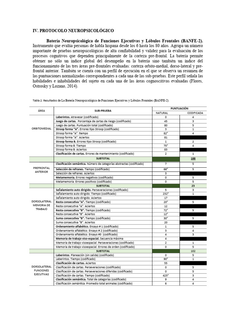 BANFE | PDF | Funciones ejecutivas | Planificación